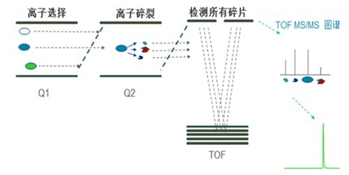 靶向蛋白质组 MRM/PRM － 丁香通