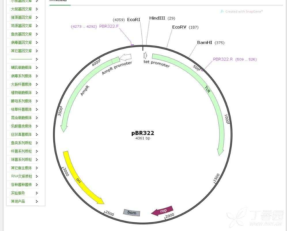 丁香园论坛 - 专业医生社区，医学、药学、生命科学、科研学术交流