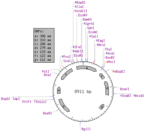 求pWH1266质粒的相关信息 - 丁香园论坛