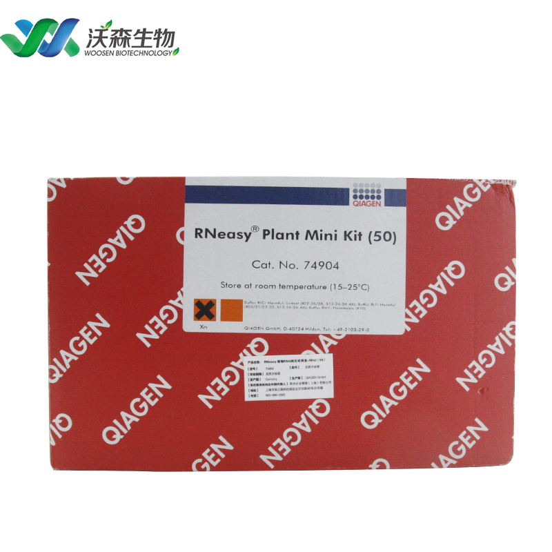 Qiagen Rneasy Mini Kit