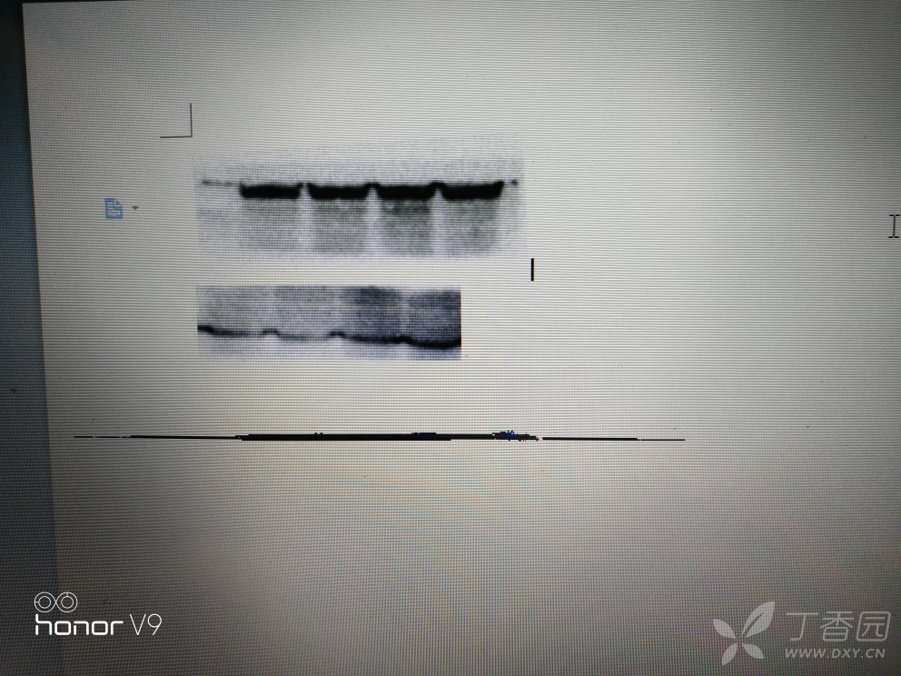 wb条带,wb条带,条带图片_大山谷图库