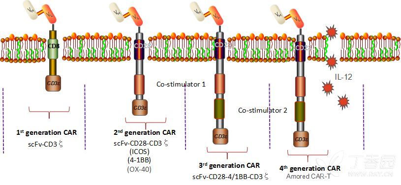 “CAR-T”一词最近频繁出现在公众视野，它究竟是什么？一文带你读懂它 - 免疫学讨论版 -丁香园论坛