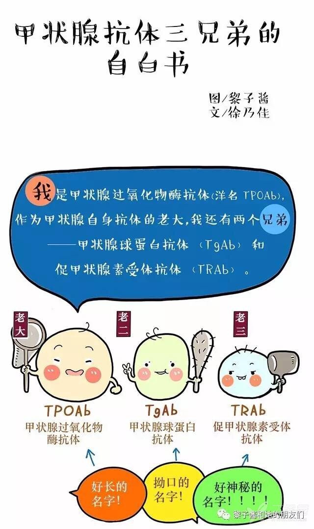 甲状腺抗体三兄弟（TgAb、TRAb、TPOAb）的自白书 - 内分泌与代谢病讨论版 -丁香园论坛