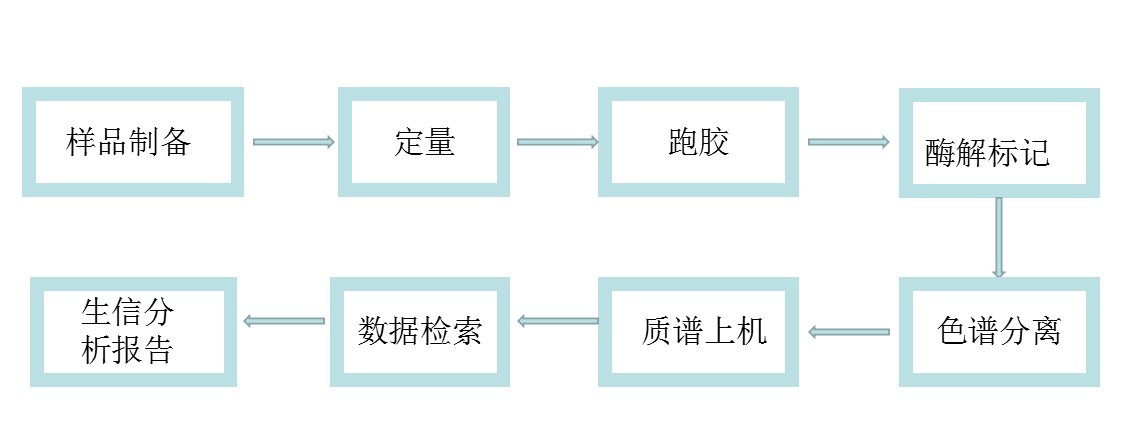 修饰蛋白组学+iTRAQ 、TMT 蛋白质组学服务价格,详情介绍-960化工网 – 960化工网