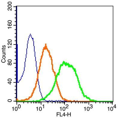 TUBB3 (Neuronal Marker)神经细胞特异性微管蛋白抗体价格_品牌:LMAI Bio-丁香通