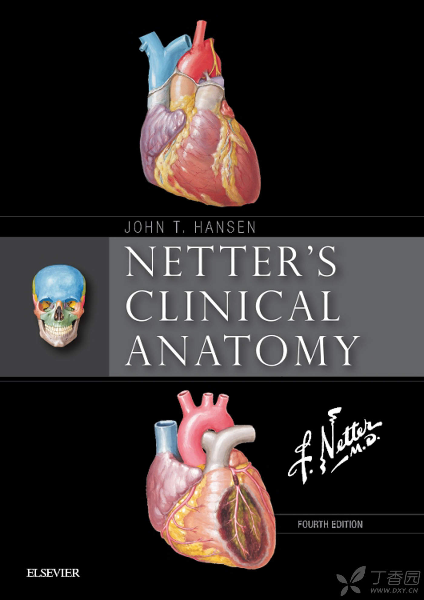 Netter's Clinical Anatomy 4E 奈特临床解剖学（2018最新版） - 丁香园论坛