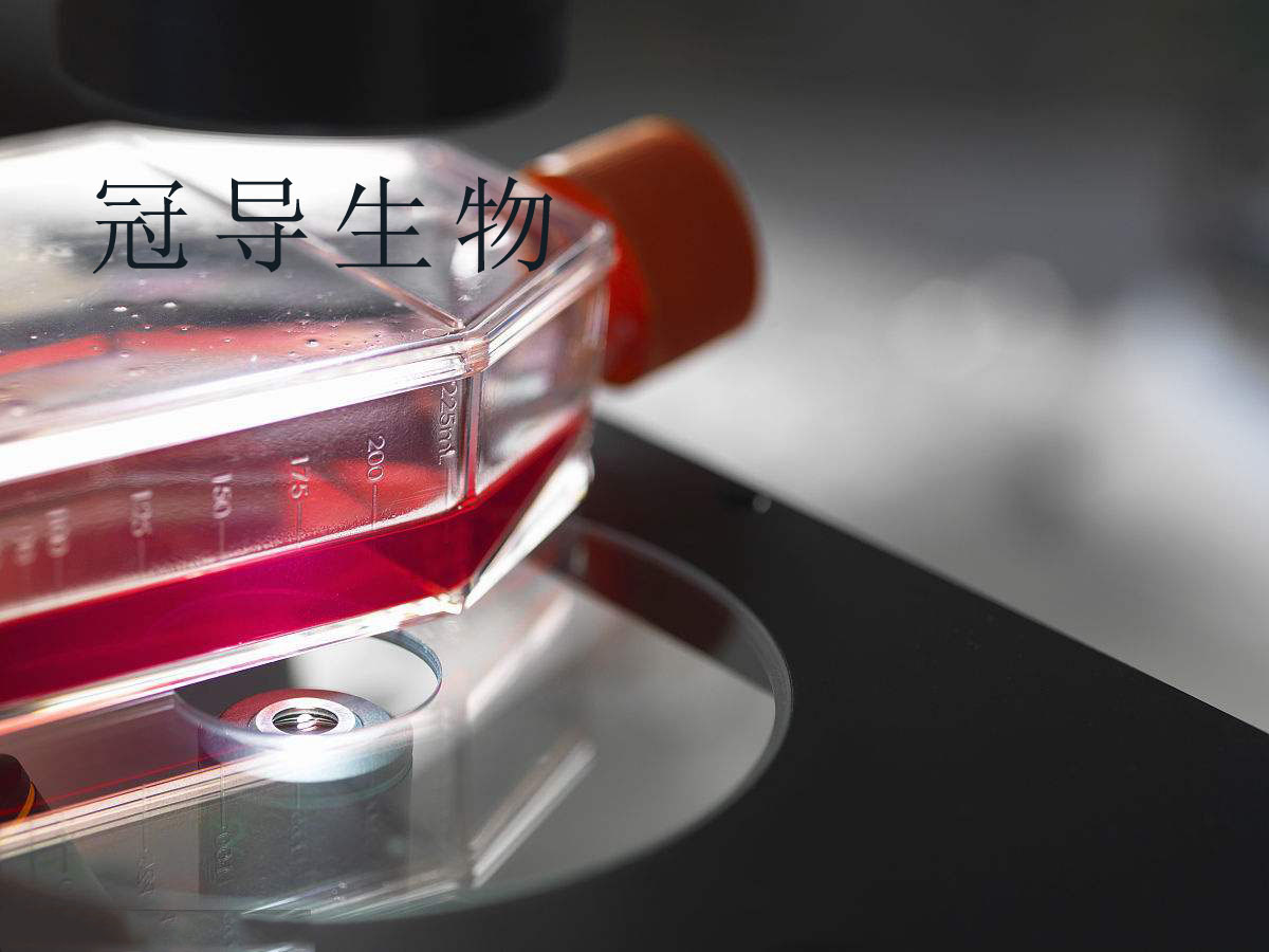 c57 小鼠_c57 小鼠【价格，厂家，图片，批发，采购】_丁香通