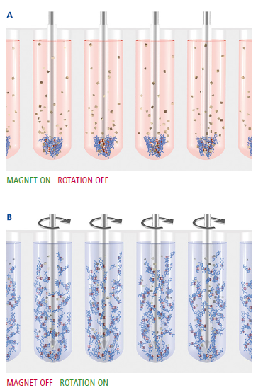 Chemagic Prepito 全自动核酸提取仪_价格-厂家-供应商_森西科技有限公司_丁香通