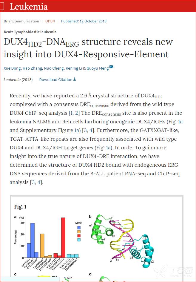 上海血液学研究所蒙国宇团队在DUX4/IGH型白血病中获得新发现（转载） - 丁香园论坛