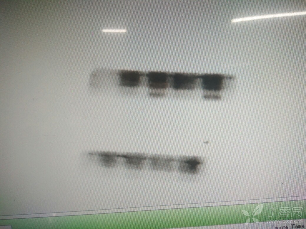 wb条带,wb条带,条带图片_大山谷图库