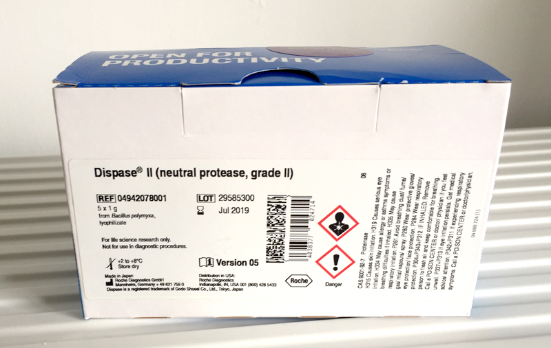 Dispase II - 试剂 - 丁香通