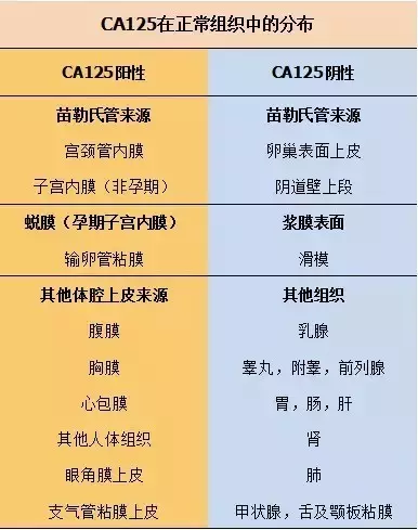 CA125 升高不是卵巢癌，还可能是什么情况？