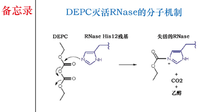 DEPC水价格,详情介绍-960化工网 – 960化工网