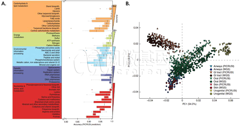 【好消息】16S 测序项目之 PICRUSt 功能预测纳入「常规分析」！ - 企业动态 - 丁香通