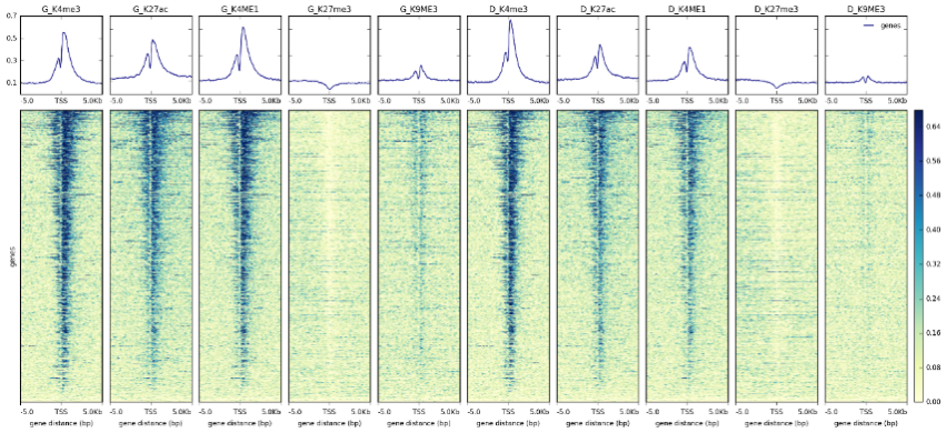 终极套路王--安诺Hi-C高级分析全面升级 - 产品资讯 - 资讯 - 生物在线