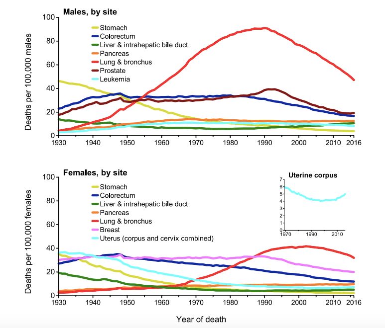 2019 美国癌症报告，4 大要点你都知道吗？