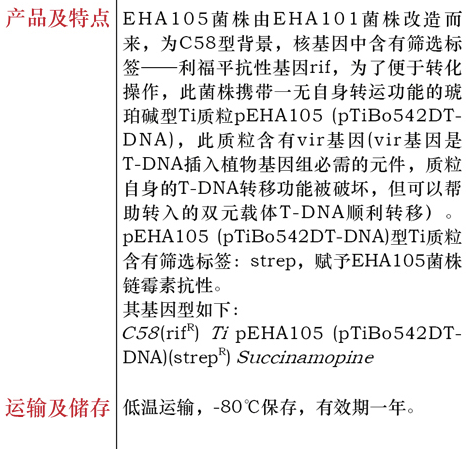 LBA4404农杆菌菌种价格,详情介绍-960化工网 – 960化工网
