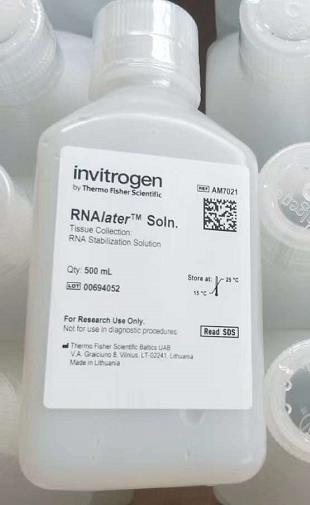 RNAlater™Sta_价格-品牌-详情介绍_丁香通
