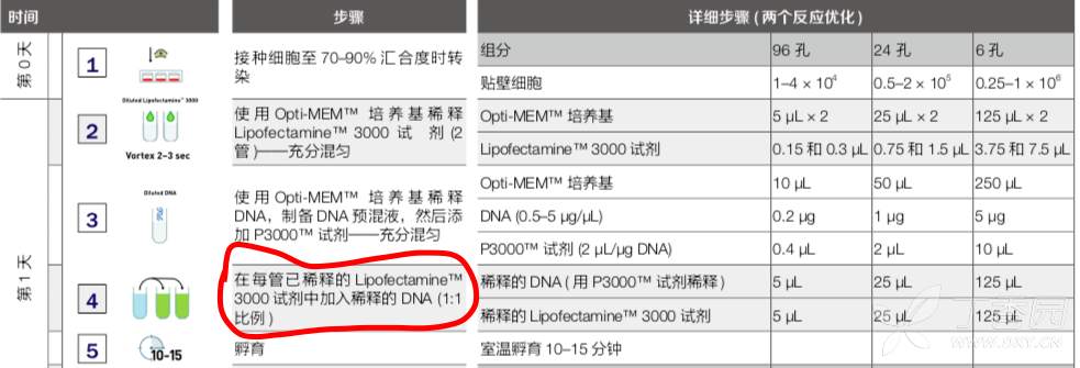 【整理总结】到底什么是无血清培养基Opti-MEM及用lipo2000或lipo3000转染质粒是否需要换液？ - 丁香园论坛