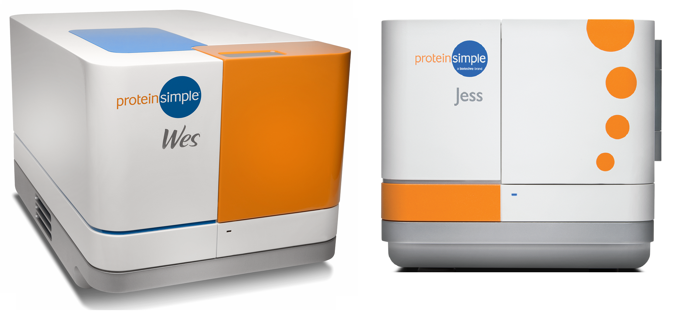 又一篇Nature! Wes检测人心脏活检样本蛋白质表达水平_公司新闻_丁香通