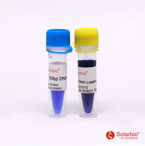 50 bp DNA Ladder价格_品牌:Solarbio-丁香通官网