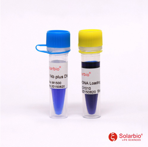 1kb plus DNA Ladder Marker价格_品牌:Solarbio-丁香通