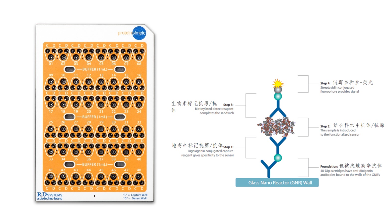 Ella 全自动微流控ELISA价格_品牌:ProteinSimple，a Bio-Techne brand-丁香通官网