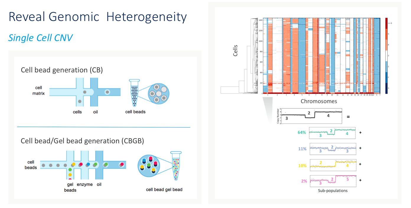 下半年的科研热点，10x Genomics为您划重点 - 自主发布 - 生物在线 Lab-on-Web