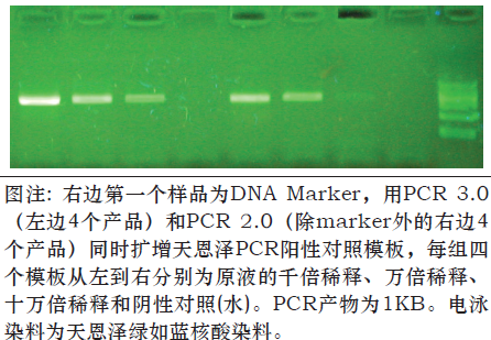 即用型PCR试剂盒 Instant PCR Kit价格,详情介绍-960化工网 – 960化工网