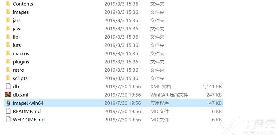 求imageJ，neuronJ，和sholl analysis - 丁香园论坛
