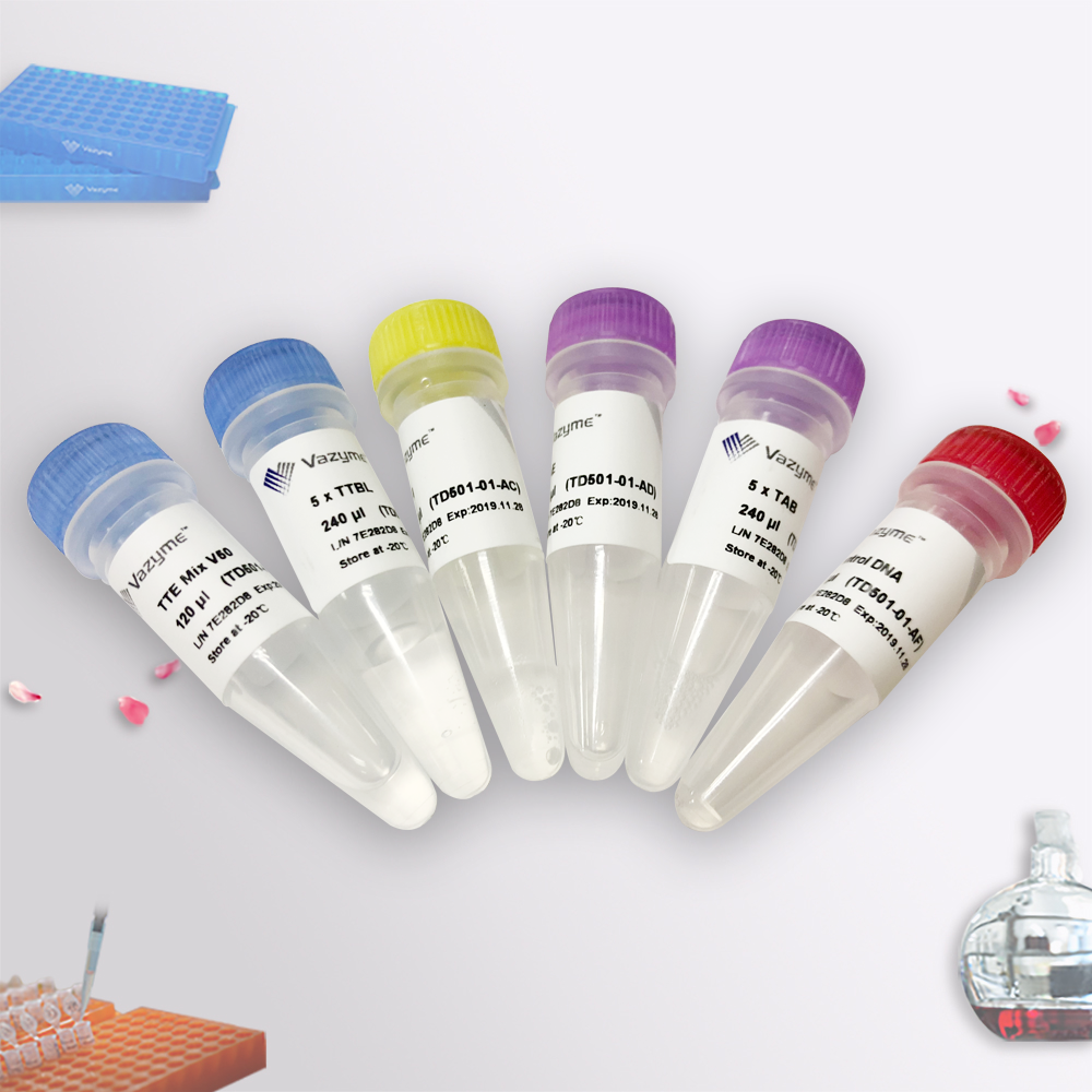 TruePrep DNA Library Prep Kit V2 for Illumina（基于转座酶的超快速DNA文库构建体系）（TD501 ...