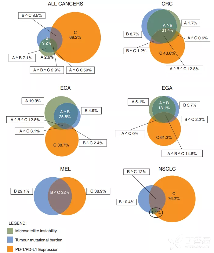 肿瘤免疫治疗的MSI检测及其与PD-1/PD-L1表达和TMB的关系（转载） - 肿瘤医学讨论版 -丁香园论坛