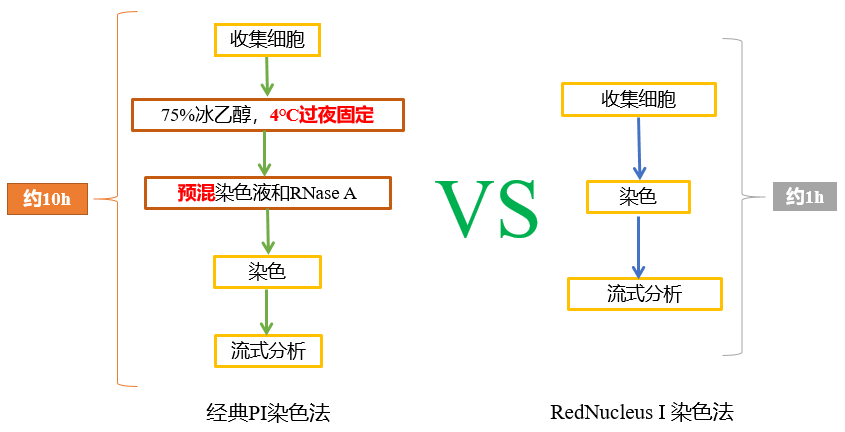 Cell Cycle Assay Kit Plus（细胞周期检测试剂盒升级版） - 企业动态 - 丁香通