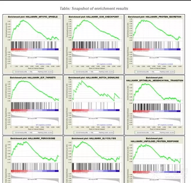 GSEA 基因集富集分析到底怎么玩？| 最终版干货教程来袭！ - 医学统计和生物统计讨论版 -丁香园论坛