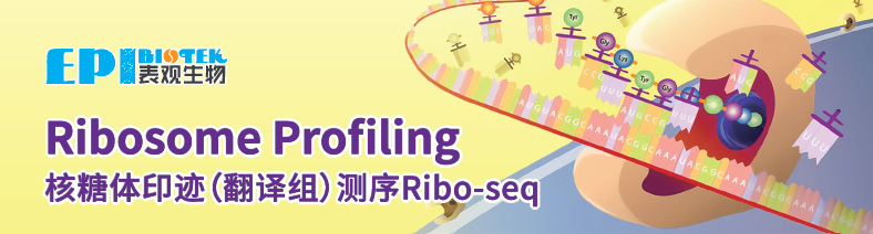 翻译组学研究利器_Ribo-seq ribosome profiling价格,详情介绍-960化工网 – 960化工网