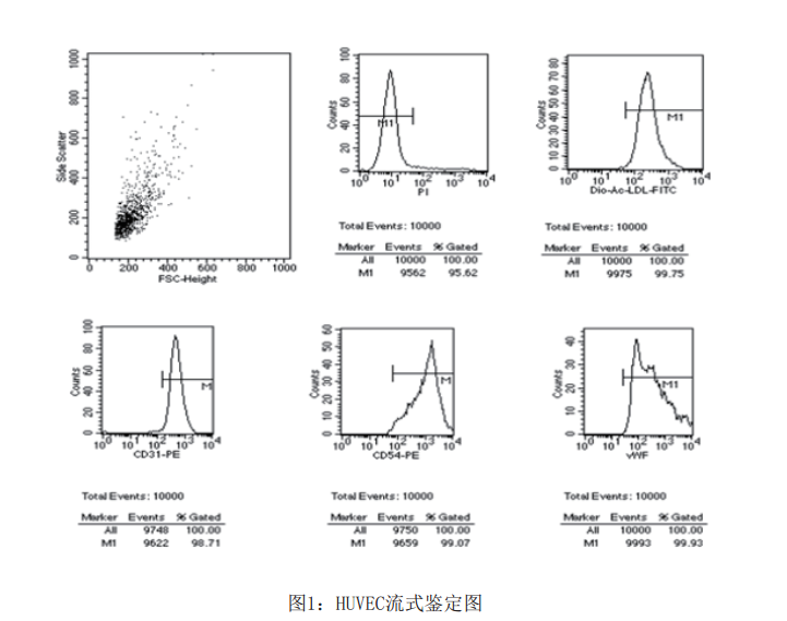 HUVEC价格,详情介绍-960化工网 – 960化工网