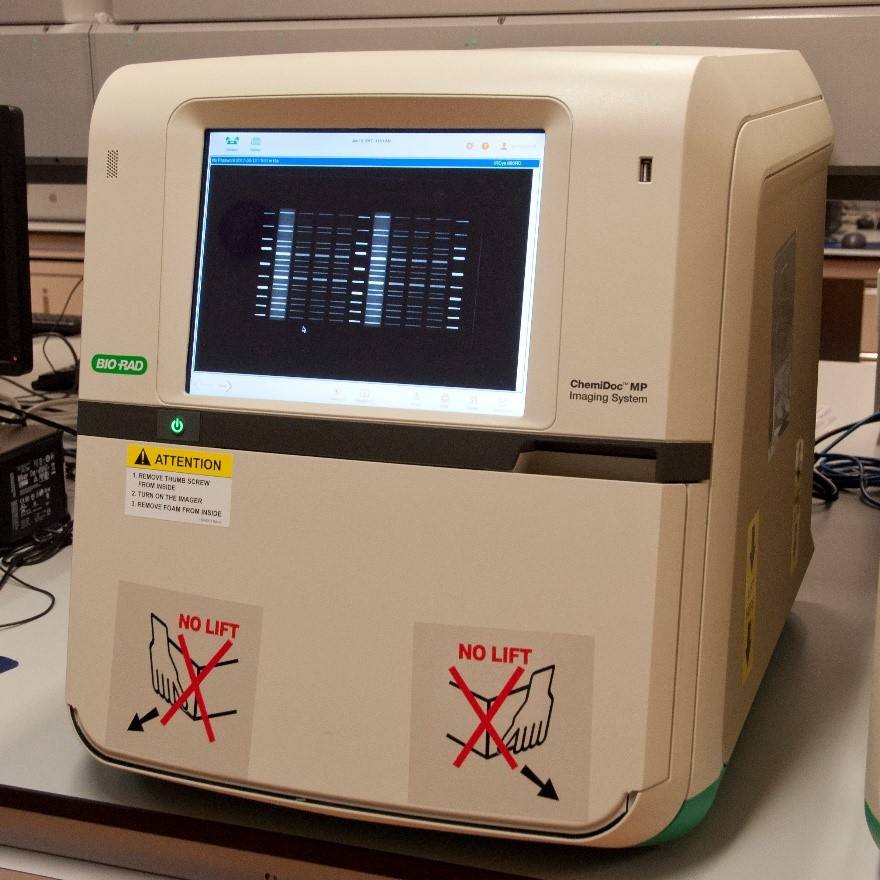 bio-rad伯乐ChemiDoc MP化学发光凝胶成像系统/全能型成像仪价格_品牌:BIO-RAD-丁香通