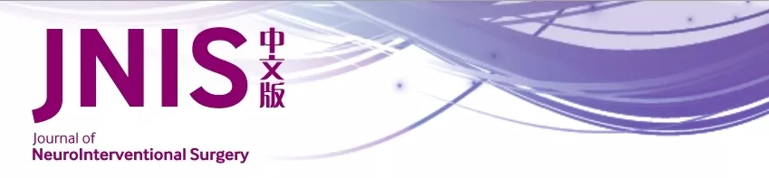 JNIS中文版丨李真保教授导读：栓塞治疗颅内动脉瘤的血流动力学分析