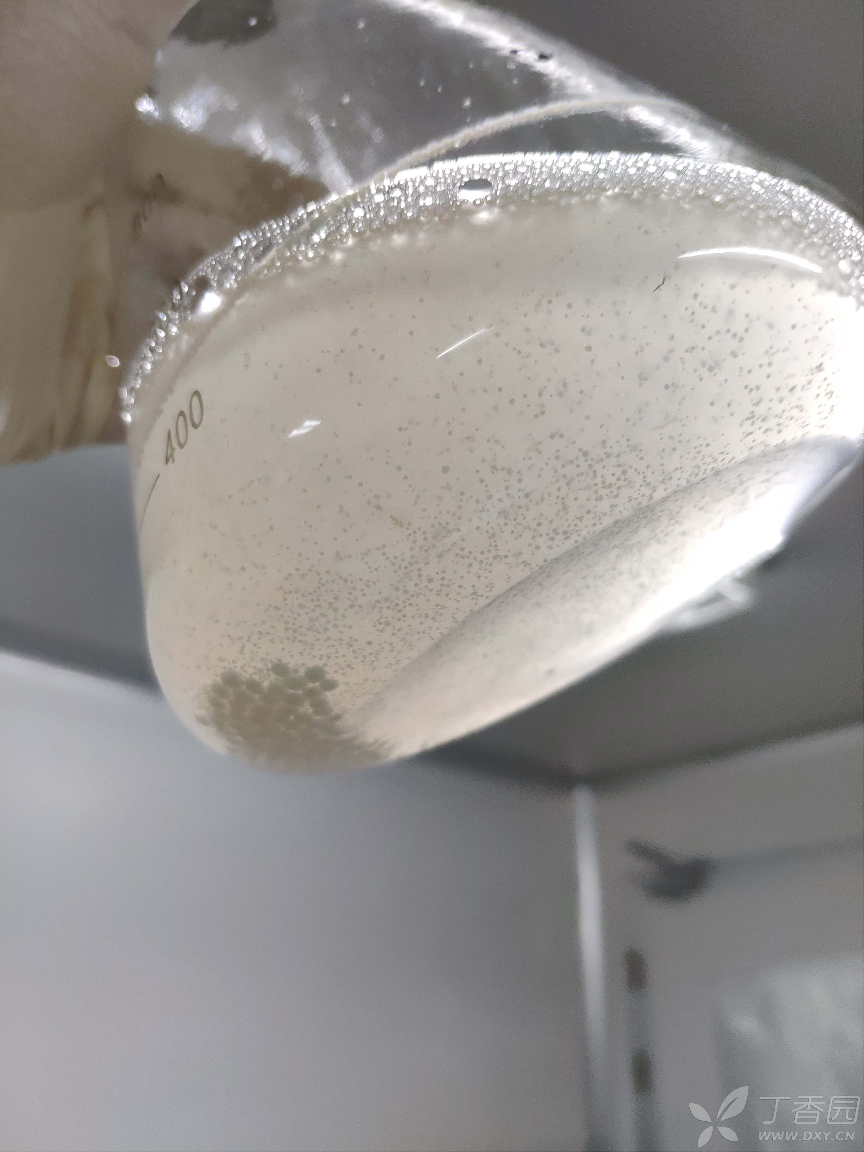 293F悬浮细胞培养出现大量团块 - 丁香园论坛