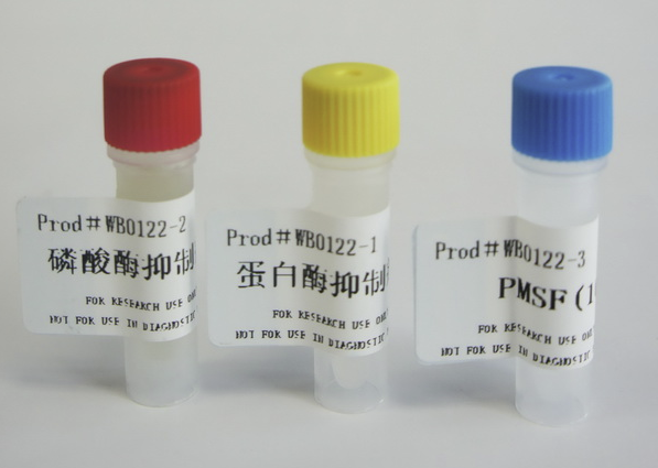 蛋白酶、磷酸酶、PMSF三联装价格,详情介绍-960化工网 – 960化工网