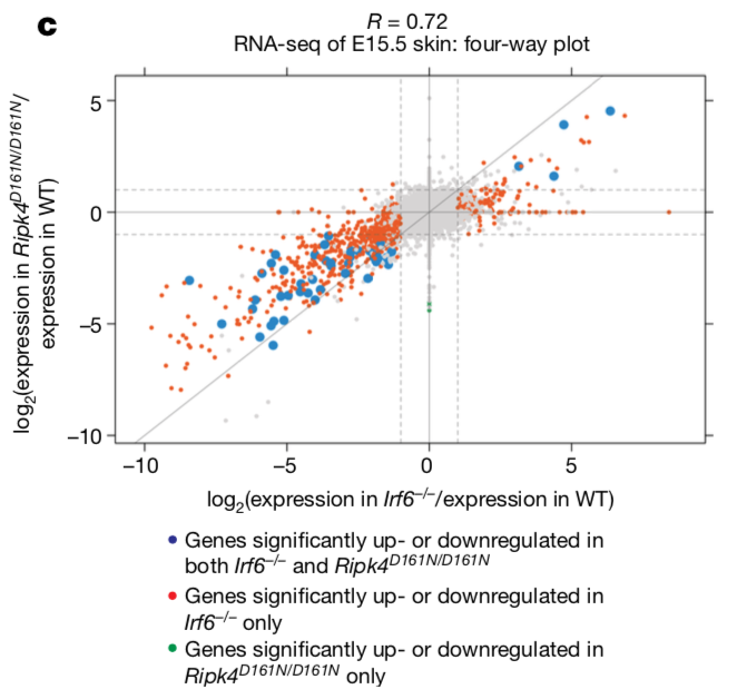 线性调控机制如何发现和研究？RIPK4-IRF6信号轴from Nature~ - 企业动态 - 丁香通