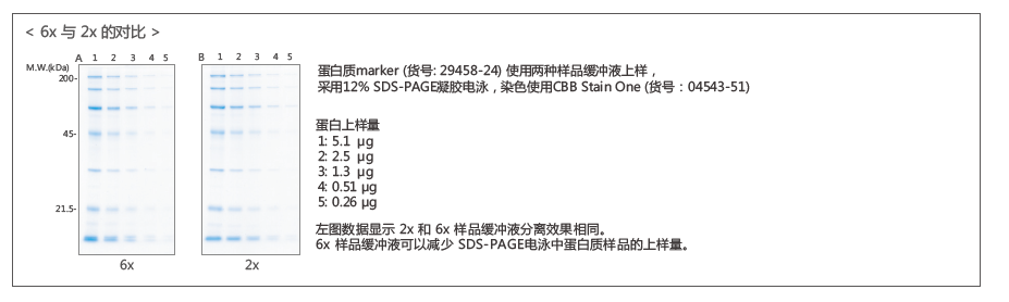 SDS-PAGE 样品缓冲液: Sample Buffer Solution for SDS-PAGE价格,详情介绍-960化工网 – 960化工网