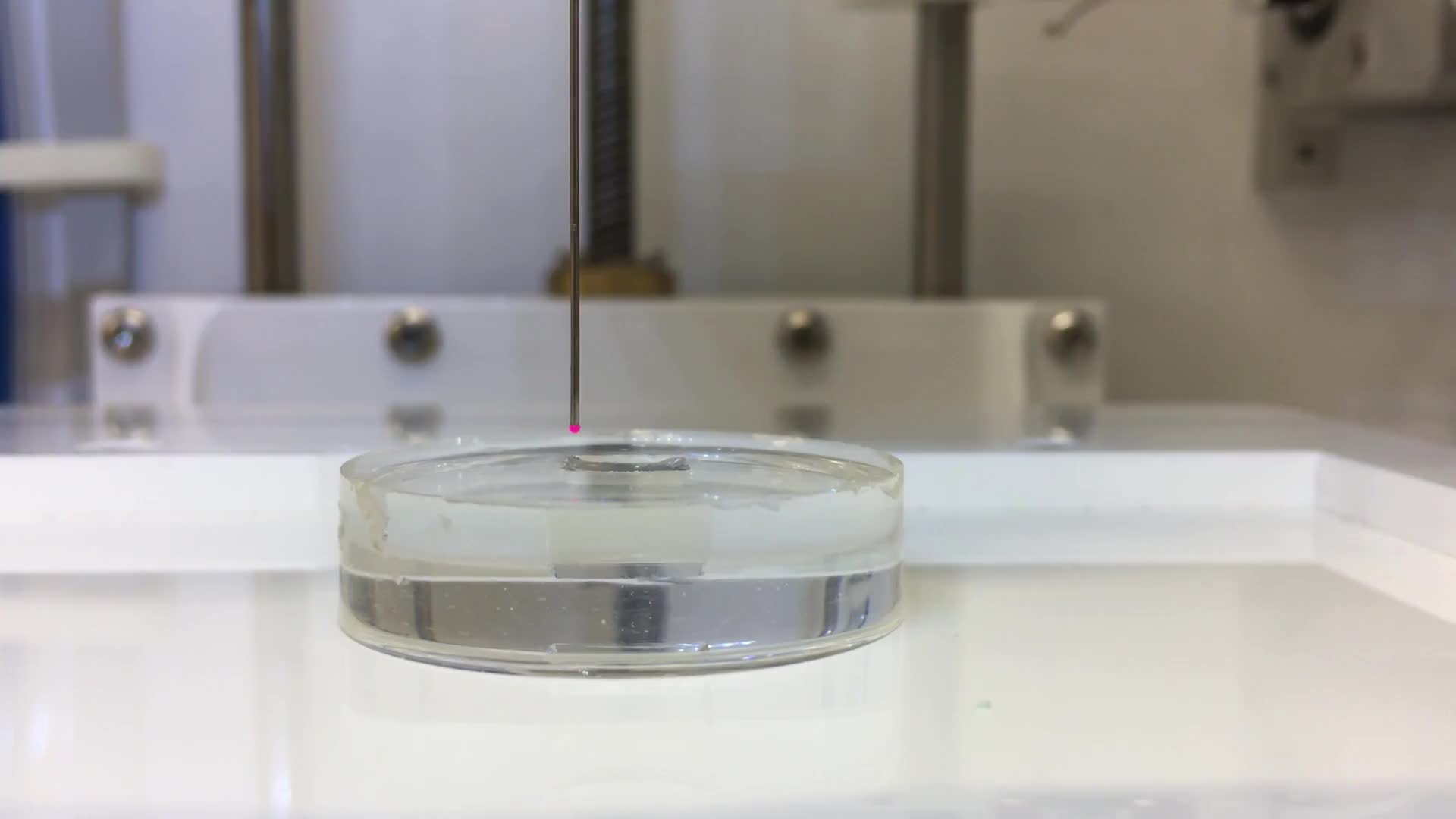 【再生医学前沿】AFM：悬浮支撑打印类软骨组织