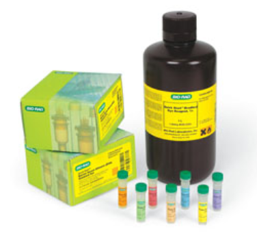 Precision Plus Protein™ Kaleidoscope™ Prestained Protein Standards价格,详情 ...