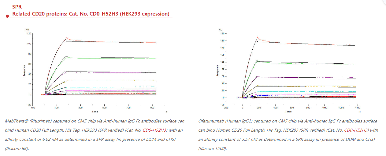 为什么我们需要全长CD20，看Genentech对CD20的结构解析 - 商家动态 - 资讯 - 生物在线