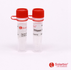 索莱宝solarbio生化试剂-酶·辅酶·抑制剂价格_品牌:索莱宝solarbio生化试剂-酶·辅酶·抑制剂-丁香通