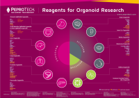 派普泰克生物科技（苏州）有限公司（PeproTech中国） - 公司主页 - 丁香通