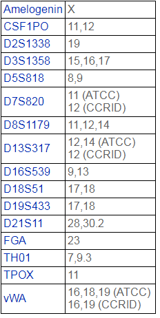 HEK293T/17[HEK 293T/17; 293T/17]SV40T转化的人胚肾细胞（亚系）价格_品牌:澳音生物-丁香通官网
