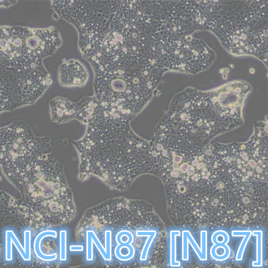 NCI-N87 [N87]细胞 / NCI-N87 [N87]人胃癌细胞_价格-厂家-供应商_武汉益普生物科技有限公司_丁香通