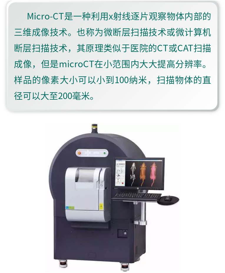 Micro-CT 技术参数如何解读？-公司新闻-深圳灵赋拓普生物科技有限公司